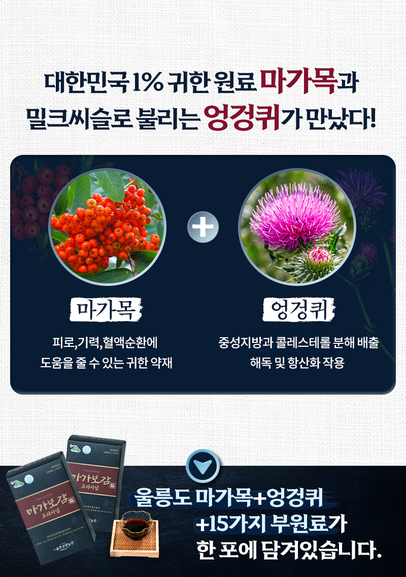 마가보감 프리미엄